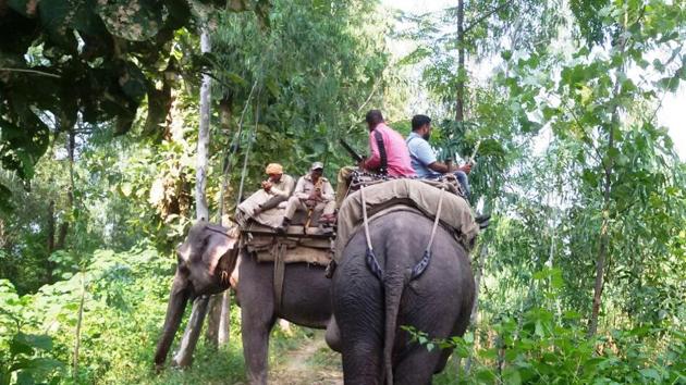 ‘Dept needs more hands to protect forests’ | Hindustan Times