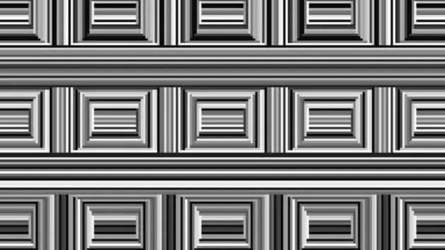 This image is puzzling people on internet | World News