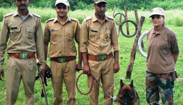 Sniffer dogs of forest department hardly put in service | Hindustan Times