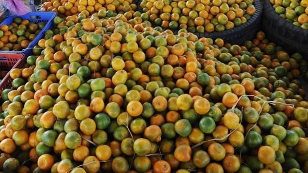 Fruits from Northeast will now reach Dubai, thanks to Delhi airport ...