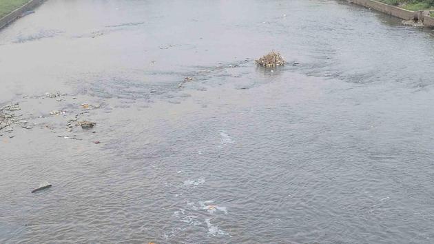 NGT orders trimonthly survey of textile industry in Balotra and nearby ...