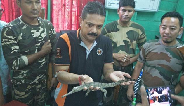 A north Bengal forest ranger people love to call ‘Singham’ | Kolkata ...