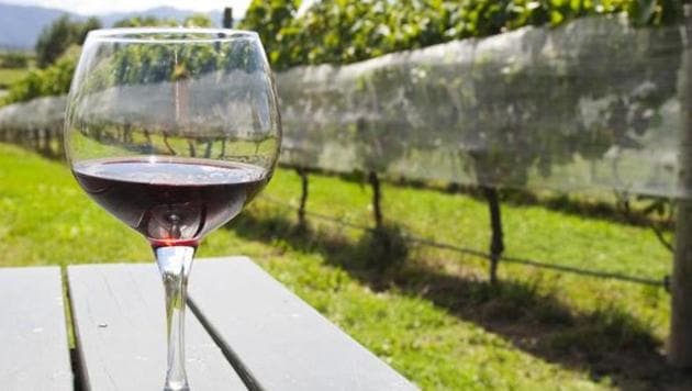 This urban, community vineyard in the Netherlands in a must-visit. Here ...