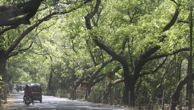 Maha govt allots 3-acre plot to Andheri RTO for brake tests | Mumbai news