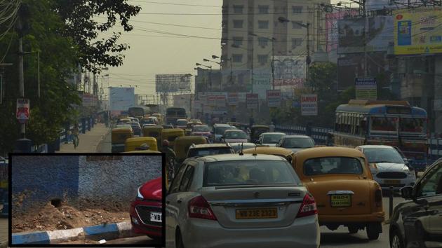 South Kolkata neighbourhood in search of a Pied Piper | Kolkata
