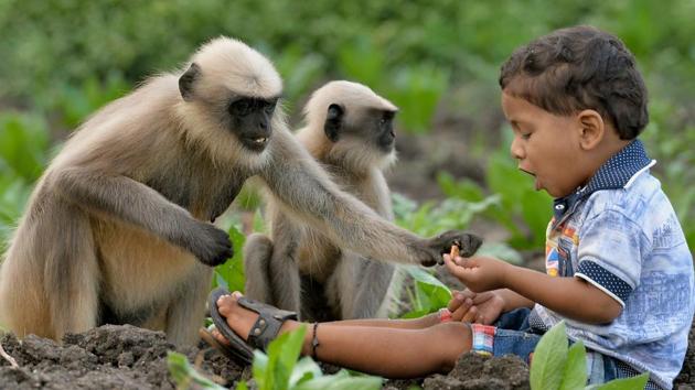 Modern-day Mowgli: Karnataka boy becomes legend for ‘special bond’ with ...