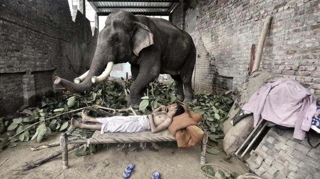 The best of 2017 by Hindustan Times photographers | Hindustan Times