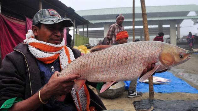 Photos | From Lohri to Bhogali Bihu: Festive celebrations across India ...