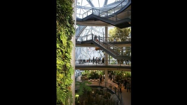 Photos: Amazon opens rainforest like ‘Spheres’ in Seattle | Hindustan Times