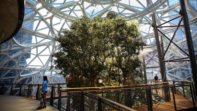 Photos: Amazon opens rainforest like ‘Spheres’ in Seattle | Hindustan Times