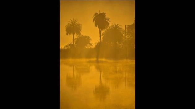 Photos: Aditya Singh’s photo exhibit brings the forests to a theatre in ...