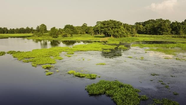Here’s why you need to visit Majuli in Assam. It’s home to the world’s ...