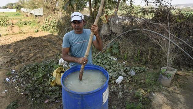 Photos: Gurgaon’s urban communities farm on rented agricultural land ...