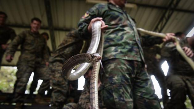 Marines drink cobra blood, eat scorpions in US-Thai war drills | World News