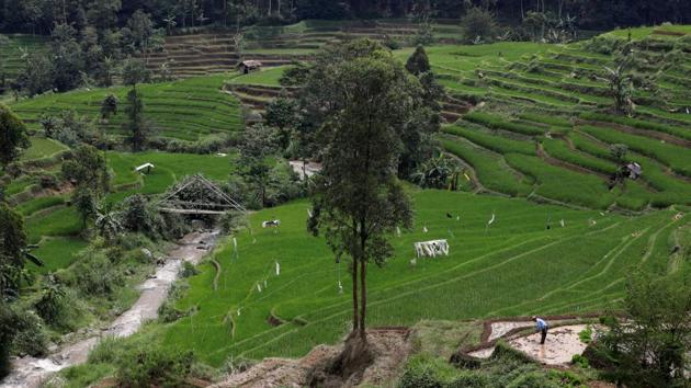 Photos: Indonesia aims to make the world’s most polluted river ...