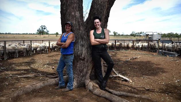 Photos | Shear success: More women take to sheep farming in Australia ...