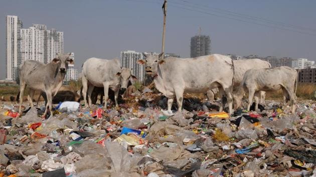 Gurgaon: Waste collection service to start in all wards by March 31 ...