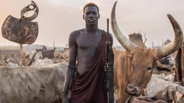 Photos: Inside a Dinka pastoral camp with the cattle grazers of South ...