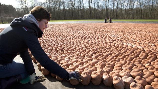 Installation of 6 lakh clay figures in Belgium to commemorate carnage ...