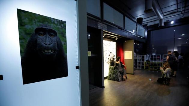Photos: A Museum of Selfies opens In Los Angeles | Hindustan Times