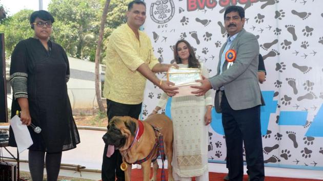17 dogs save canine lives by donating blood, get felicitated in Mumbai ...