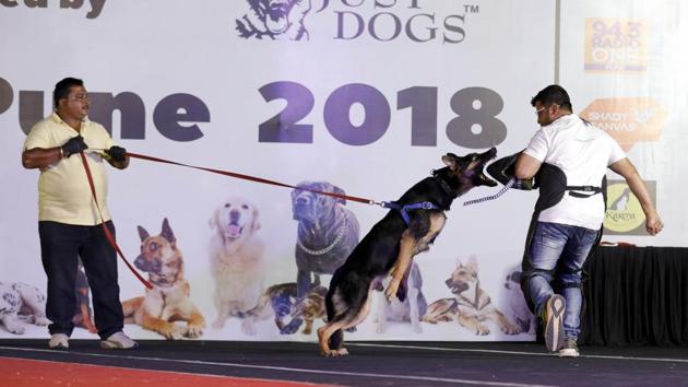 Bow wow’s day out: Pune pet lovers connect to bring smiles to their ...