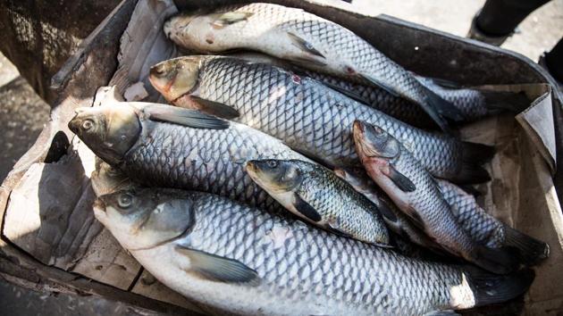 Photos: A graveyard of ships in Moynaq, a Soviet-era port on the Aral ...