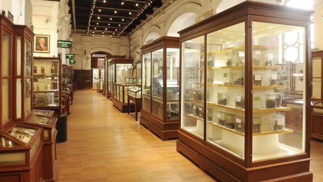 Photos: Revamped galleries and new exhibits at Kolkata’s Indian Museum ...