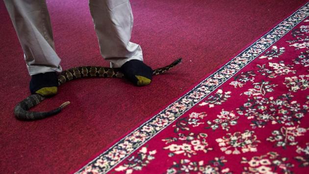 Photos: West Virginia Pentecostal church tests faith with snakes ...