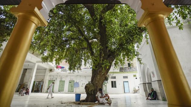 Photos | Delhi’s iconic trees: Green residents shielding against ...