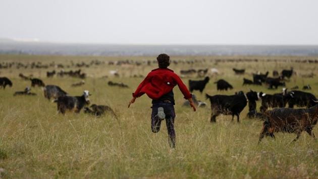 Photos: Turkey’s last nomads roam Anatolian steppe | Hindustan Times