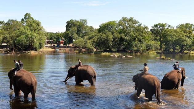 Photos: On the frontline of the human-elephant conflict in Karnataka ...