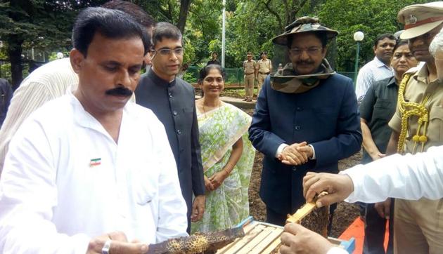After Raj bhavan, bee colonies to give Yerwada jail the positive buzz ...