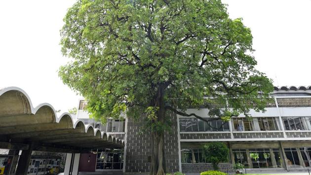 Photos| Delhi’s iconic trees: Lending shade and order amid urban chaos ...