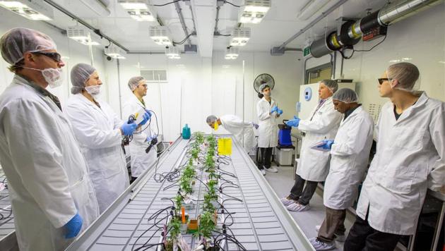 Photos: Canadian students learn to grow pot at cannabis college ...