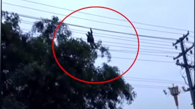 Dramatic video shows man walking on high-voltage power line in China ...