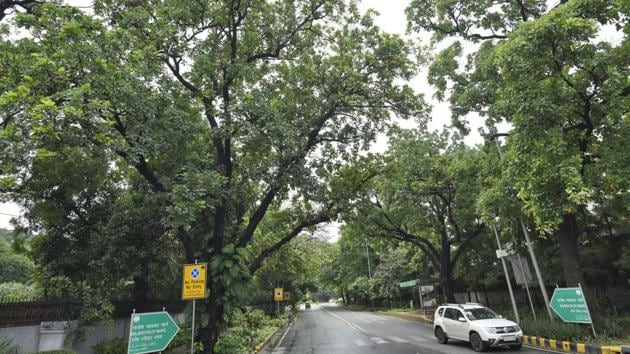 Photos | Delhi’s iconic trees: Keeping the city’s ecosystem rooted ...