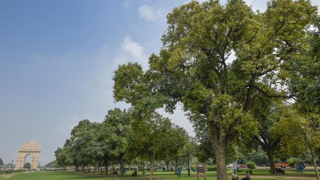 Photos | Delhi’s iconic trees: Keeping the city’s ecosystem rooted ...