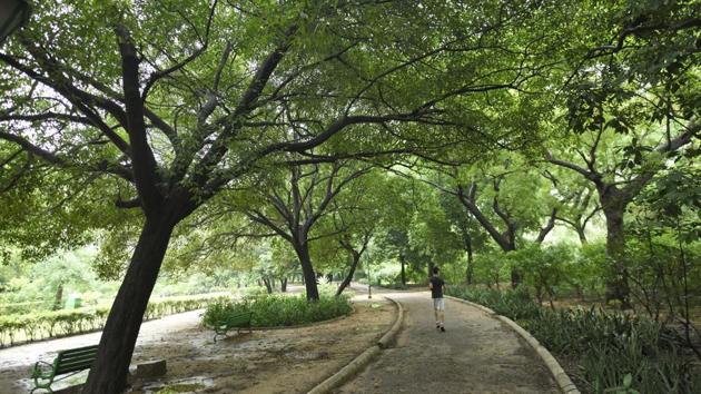 Photos | Delhi’s iconic trees: Keeping the city’s ecosystem rooted ...