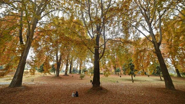 From Autumn in Kashmir to Delhi’s pollution menace: India this week ...