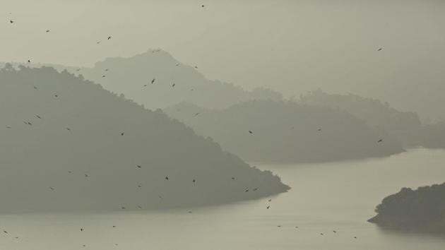 Photos: Amur falcon hunters turn protectors in Nagaland’s Pangti ...