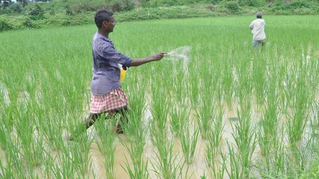 Jharkhand farmers to get yearly aid of ₹5,000 per acre | Latest News India