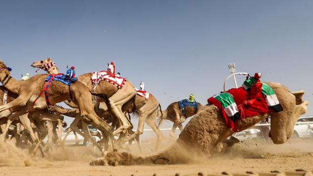 Photos | Moreeb Dune Festival 2019: A celebration of Gulf traditions ...