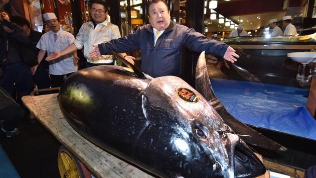 World’s most-prized fish: Endangered tuna sold for ₹21 crore in Japan ...