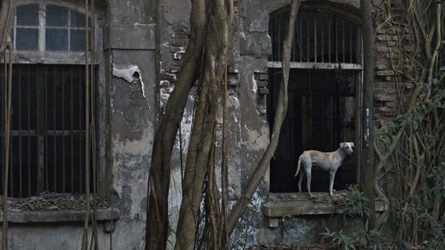 Photos: Mumbai’s first textile museum weaves past with the present ...
