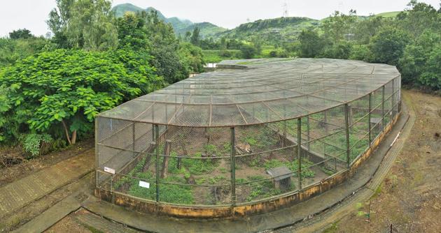 Four Maharashtra zoos face closure for flouting norms | Mumbai news