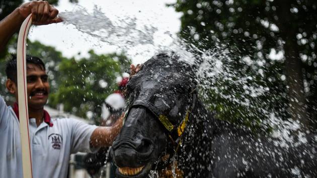 Photos: The grandeur of the President’s Bodyguard | Hindustan Times