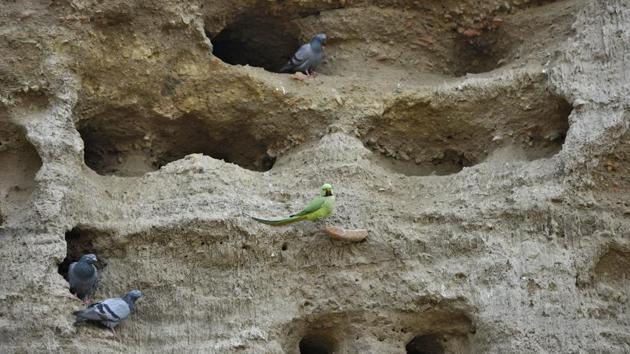 Photos | Living with the past: Rakhigarhi’s Indus Valley connection ...