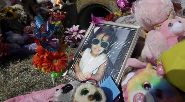 Murdered Indian toddler Sherin Mathews’ foster mom freed from US jail ...