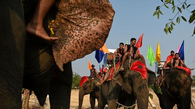 Photos: Vietnam’s elephant race draws cheers and critics | Hindustan Times